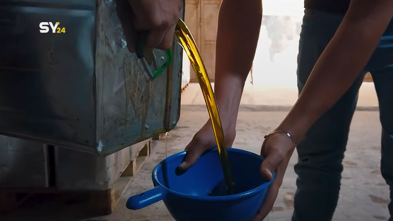 غلاء غير مسبوق بمادة زيت الزيتون في إدلب.. من المسؤول؟ | SY24